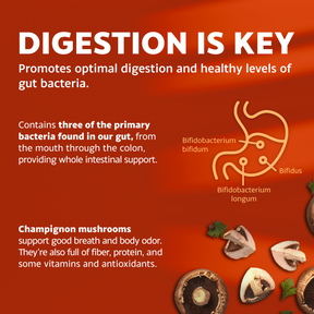 GOOD FLORA CAPS 90CT – Mt. Angel Vitamins