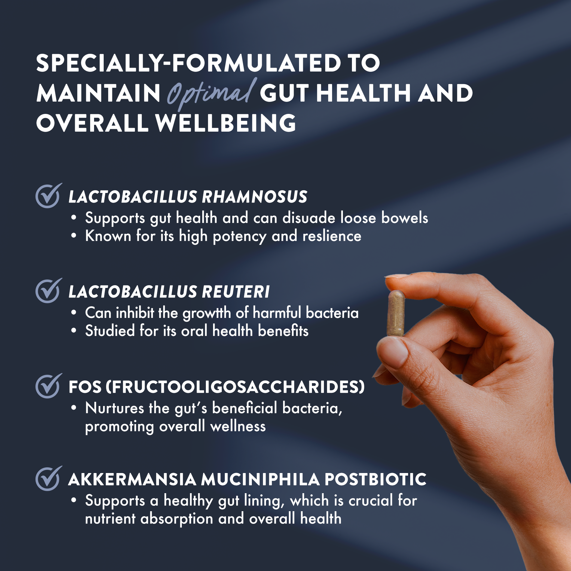 3-in-1 Probiotic Fusion | Pre + Pro + Postbiotic | Mt. Angel Vitamins